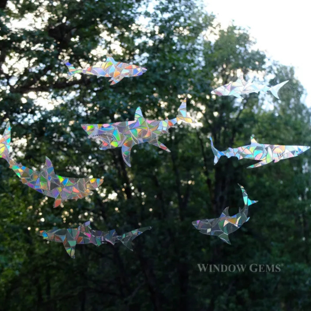 Shark Window Gems – Turtle Central Gift Shop